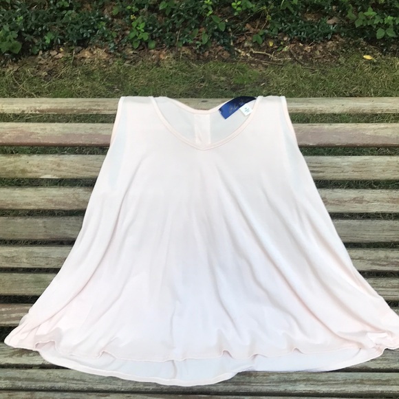 Francesca's Collections | Tops | Blue Rain Pink Tank With Ruffle Back ...